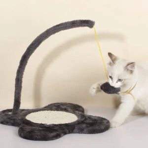 Дождевик для собак - ZooGadgets